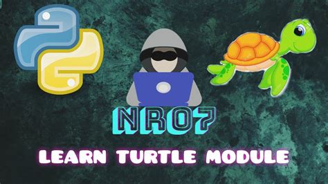 Python Learn Turtle Module Part Python Pythonprogramming YouTube