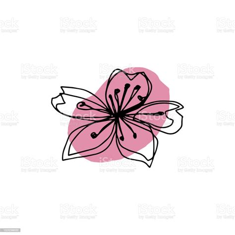 식물 플로리컬 윤곽 꽃 벚꽃 벚꽃 꽃 꽃 오픈 싹 벡터 고립 된 미니멀리즘 핑크와 검은 꽃 0명에 대한 스톡 벡터 아트 및 기타 이미지 Istock