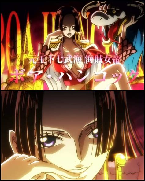 원피스 최종장 기준 현상금 순위 유머 움짤 이슈 에펨코리아