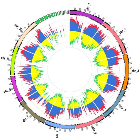 Switchgrass Expressed Sequence Tags Ests Mapped To The Sorghum