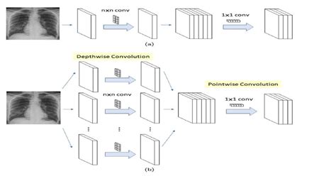 Xception Model Analyzing Depthwise Separable Convolutions Viso Ai