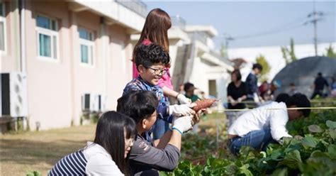 국제농업박람회 농산물 수확체험 인기