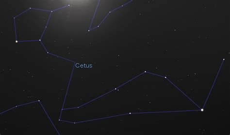 Cetus Constellation Dsp
