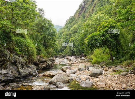 Dichter Urwald Fotos Und Bildmaterial In Hoher Auflösung Alamy