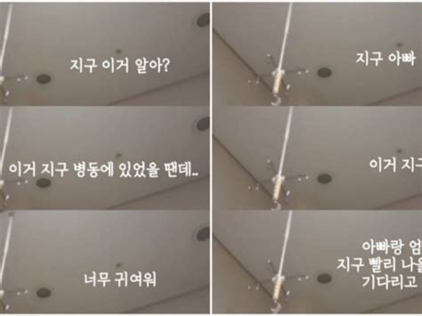 간이식 수술을 받은 중환자실 아기에게 간호사가 한말 유머 게시판