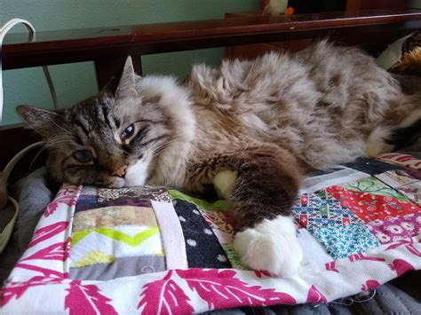 Yet Another Post About Storing Finishedcuring Compost Rcomposting