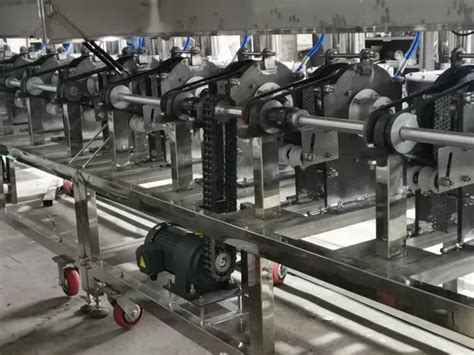 Hazelnut Cracking Machine Cracking Nuts Processing Machine Hazelnut