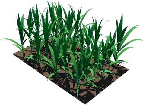 3 D Maize Canopy Lai 223 Download Scientific Diagram