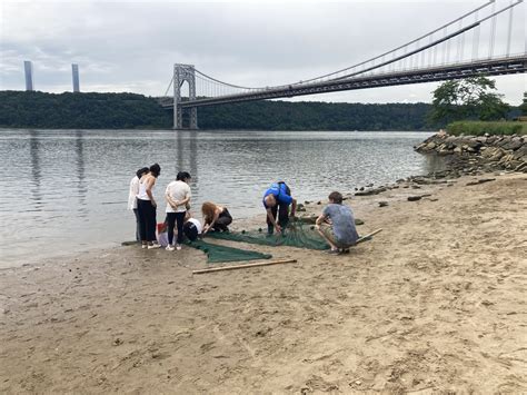 World Fish Migration Day Riverside Park Conservancy