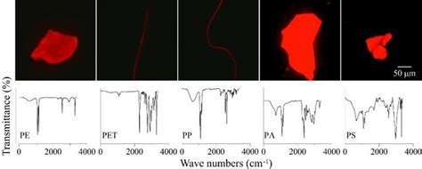 The Atr Ftir Confirmation Of Microplastic Samples Isolated By Nile