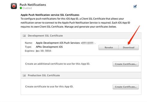 Apple Push Notification Service APNS