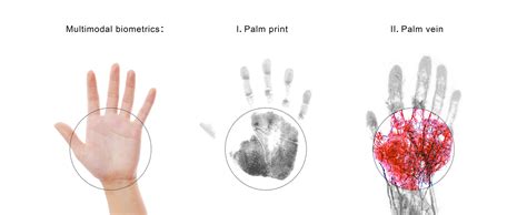 Alipay Palmprint Recognition X1 Behance