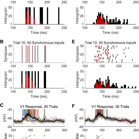 Differences In Input And Output Between Models With A Single Lgn