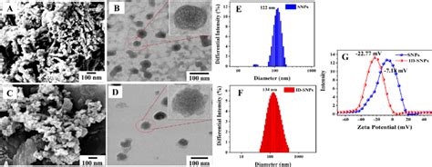 A Fe Sem Image Of Bare Snps B Tem Image Of Bare Snps C Fe Sem