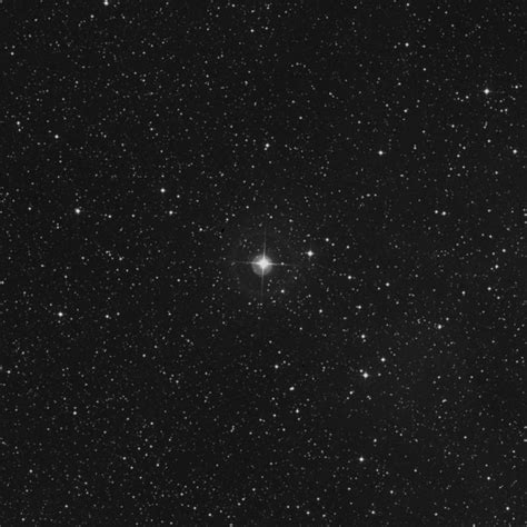 12 Cassiopeiae Star In Cassiopeia Theskylive