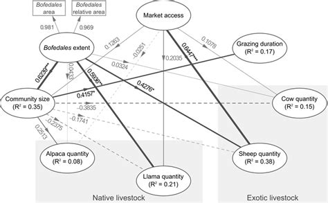Structural Model Of The Partial Least Squares Structural Equation Model Download Scientific