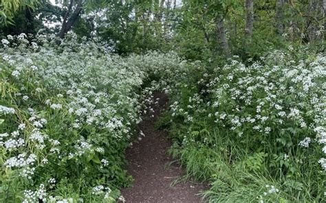 Little Wormwood Scrubs Recreation Ground Hammersmith And Fulham