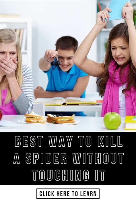 Best Way To Kill A Spider Without Touching It Artofit