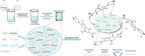 Pva辅助cncssio2复合气凝胶高效吸附环丙沙星journal Of Colloid And Interface Science