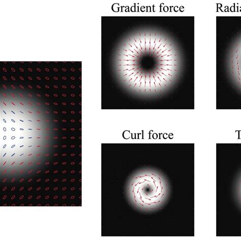 Radially Polarised Vector Beam A Intensity And Polarisation Structure Download Scientific