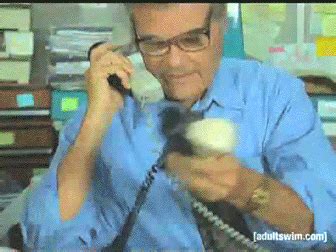 New Party Member Tags Phone Working Busy Tim And Eric Awesome Show