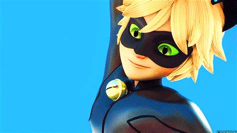 At Night I Rule Cat Noir  Miraculous Ladybug Miraculous Ladybug