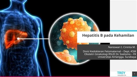 Hbv Webinar Hepatitis B In Pregnancypptx