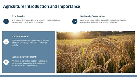 Presentaion On Agriculture Ppt Example St Ai
