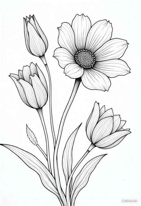 31 Flower Coloring Pages Craftomundo Flower Art Drawing Doodle Art