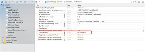 ios xcode11启动页设置 xcode设置ios启动页居中 csdn博客