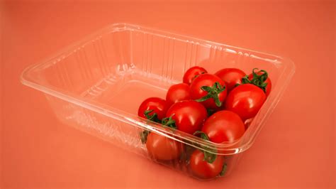 Pla Compostable Food Containers Hongren