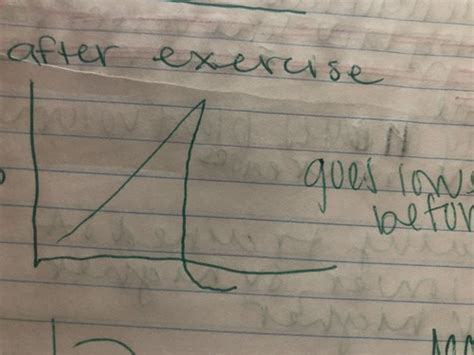 Exercise Physiology Midterm Flashcards Quizlet