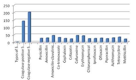 Antibiotic Sensitivity Pattern Of Isolated S Aureus Against Different Download Scientific