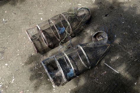 Cerita Masyarakat Teluk Rumbia Ikan Dan Udang Menjauh Dari Sungai Alas