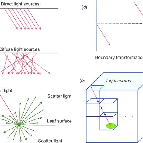 Pdf Optimal Crop Canopy Architecture To Maximise Canopy Photosynthetic Co2 Uptake Under