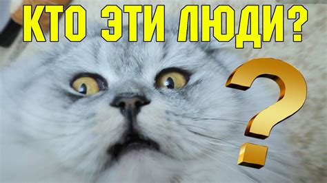 Кева в шоке! - YouTube