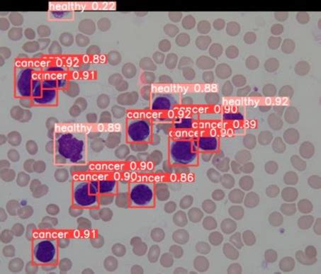 Resulting Image From Our YOLOv5s S Object Detection With Confidence Levels Download