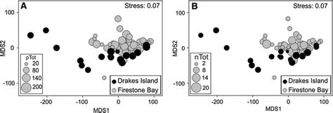metric mds plot indicating variability in morphology multivariate