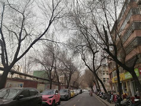 许昌网 榆柳街：因栽种榆树和柳树得名