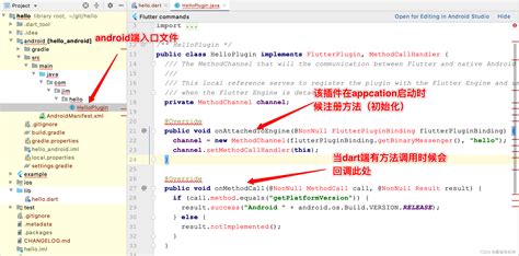 Flutter 自定义插件基础flutter插件 Csdn博客
