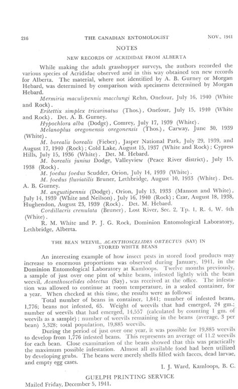 The Bean Weevil Acanthoscelides Obtectus Say In Stored White Beans