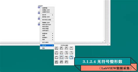 《labview数据采集》视频教程第18集 数值型数据—无符号整形数 labview无符号长整形怎么添加 csdn博客