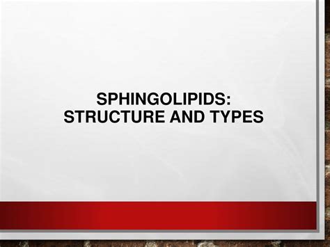 PPT Sphingolipids And Myelin Structure PowerPoint Presentation Free Download ID