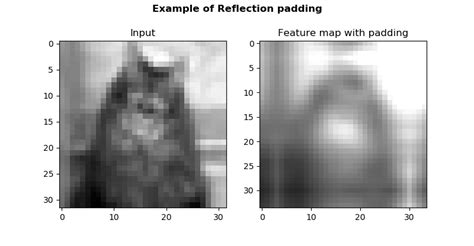 using constant padding reflection padding and replication padding with