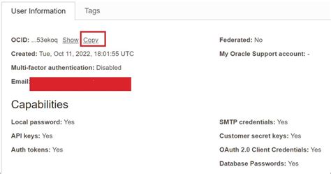 Loading Data From Oracle Object Storage Into Oracle Fusion Analytics