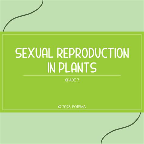 Sexual Reproduction In Plants Powerpoint • Teacha