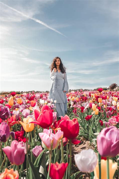 The absolute best itinerary for Amsterdam in 2 days! | Tulip fields ...