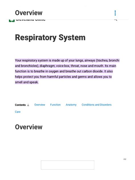 Respiratory System Organs Facts Anatomy And Function Pdf Respiratory Tract Respiratory System