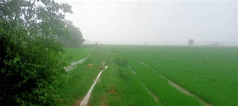 តំបន់មួយចំនួន នឹងមានភ្លៀងលាយឡំនឹងរន្ទះ ចាប់ពីថ្ងៃទី២៤ ៣០ ឧសភា Thmey