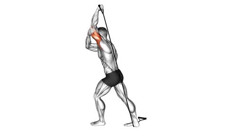 10 Lat Exercises On Cables For A Strong And Sculpted Back Workout Guru